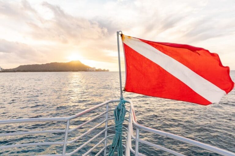 Oahu: Waikiki Turtle Canyons Cruise and Snorkel Excursion - Key Points