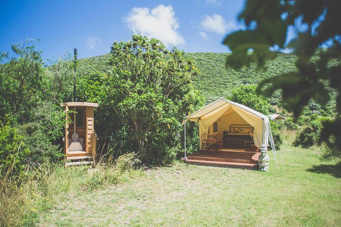 Overnight Experience Tour on Kapiti Island - Who Should Consider This Tour