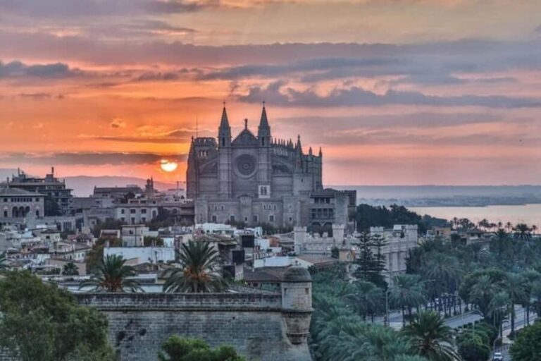 Palma de Mallorca : Best Street Food Tour With A Local Guide - What Makes This Tour Stand Out?