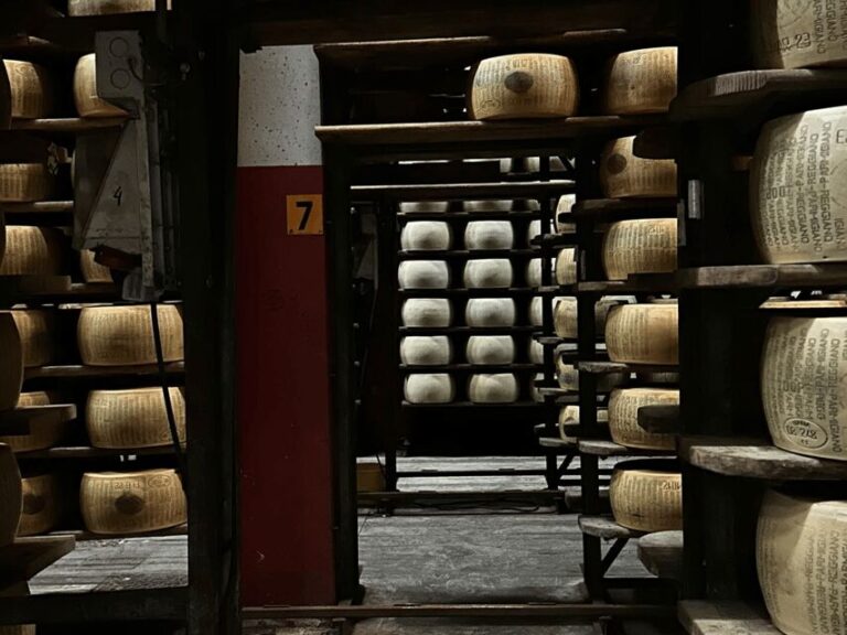 Parmesan Cheese Tour & Tasting close to Modena - Why This Experience Works