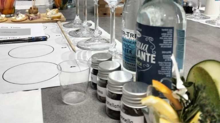 Peschiera del Garda: Italian Gin tasting - Who Should Book This?