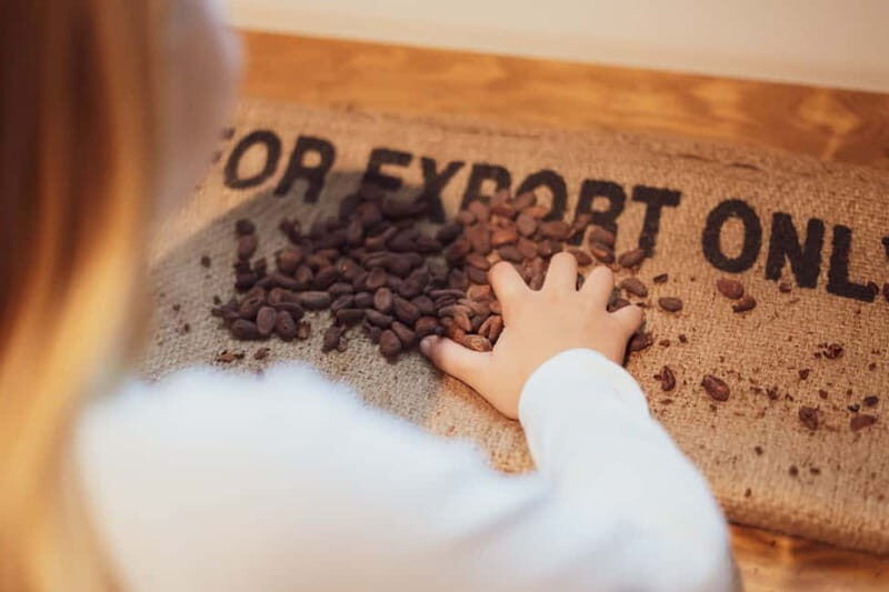 Porto: Chocolate Museum - Unwrap the Secrets of Chocolate - What to Expect on Your Visit