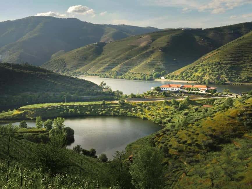 Porto: Douro Valley 2 Wineries, Tastings, Lunch & Boat Tour