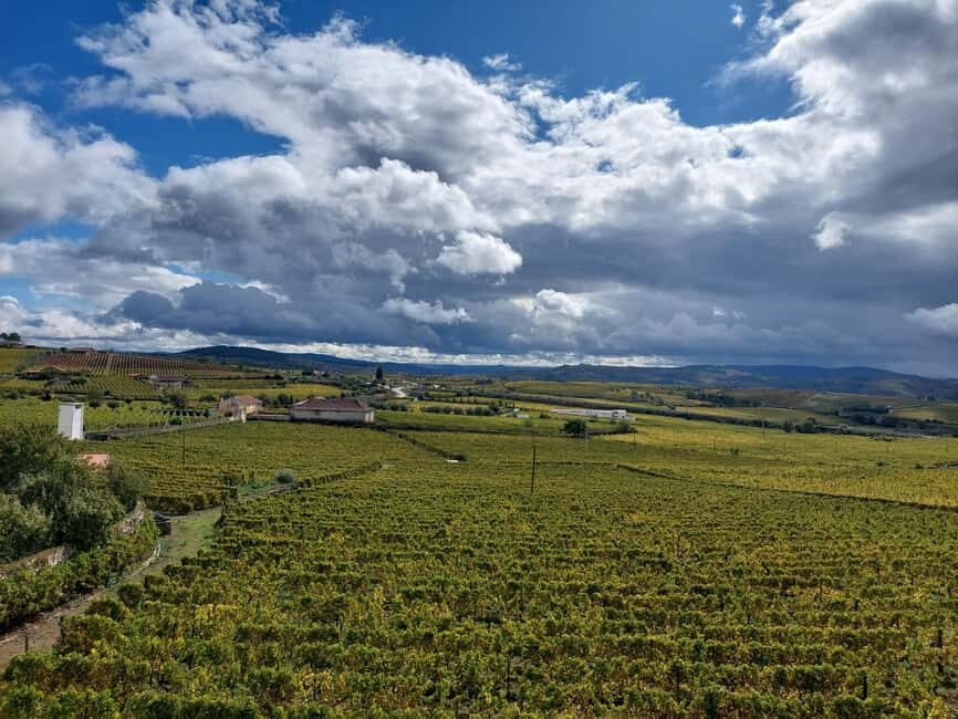 Porto: Douro Valley Tour by Private Car
