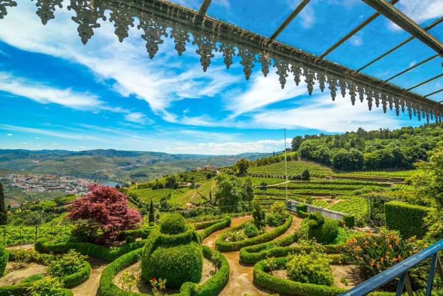 Porto: Private Cultural Lunch & Wine Tasting at Douro Valley