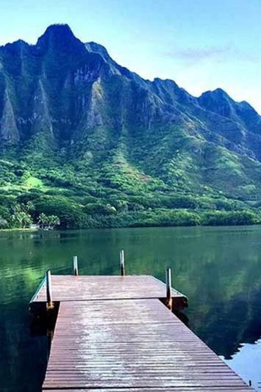 Private Pearl Harbor & Oahu Island Tour - Who Is This Tour Best For?
