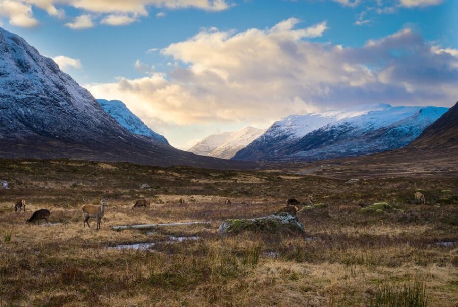 Private Photography Tour in Edinburgh
