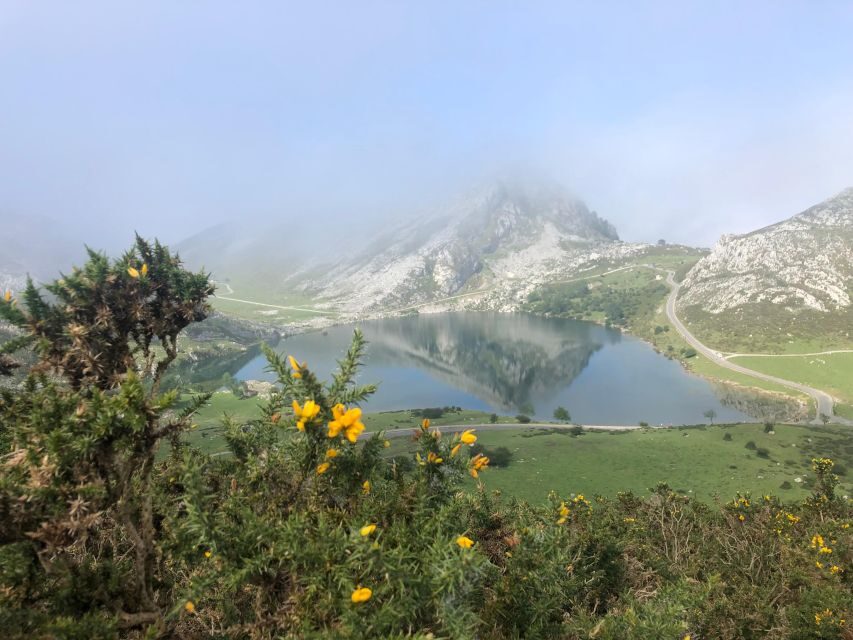 Private Tour from Oviedo to Covadonga and Europe Peaks lakes