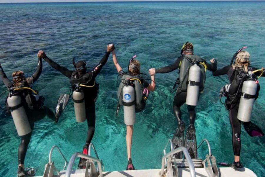 Professional Guided Scuba Diving: Swim with colorful fish.