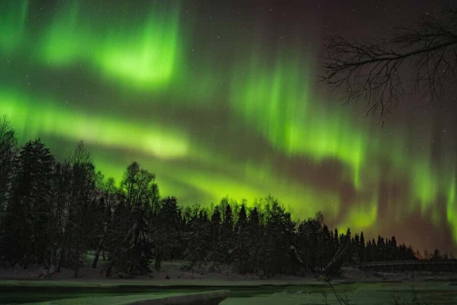 Pyhätunturi: Northern Lights Hunting Tour with Hot Drinks - A Deep Dive Into the Northern Lights Experience
