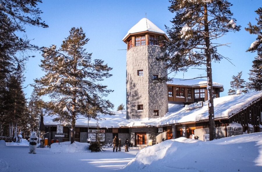 Ranua Wildlife Park Guided Tour from Rovaniemi, With Lunch