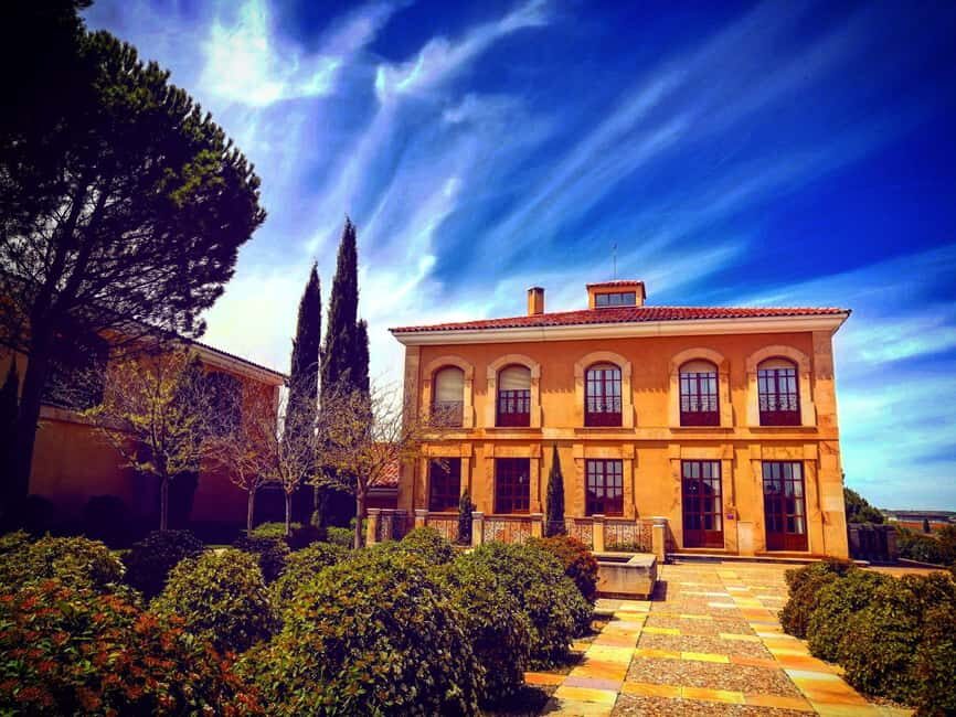 Ribera del Duero Tour: From Madrid to Ribera del Duero - lunch included