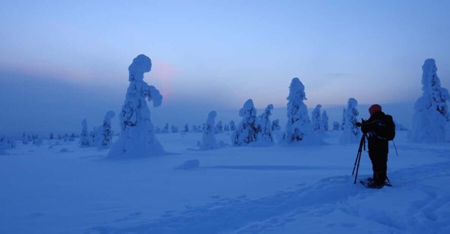 Riisitunturi National Park Snowshoe Adventure