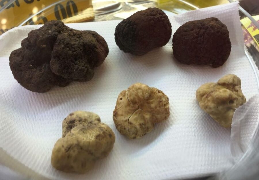 Rome: Food Tour in Trastevere with Dinner & Fine Wine