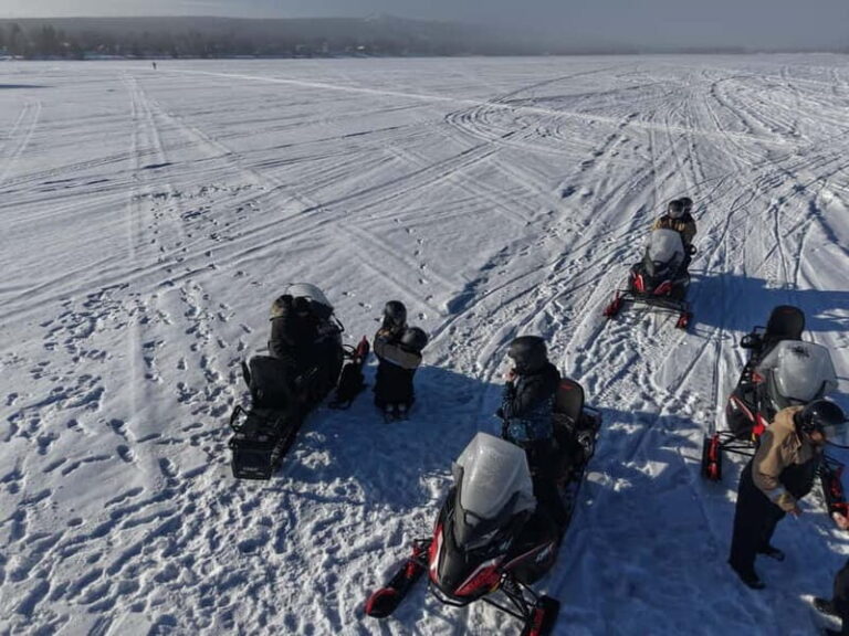 Rovaniemi: Arctic Snowmobiling Ride with Local Guide - Who Will Love This Tour?
