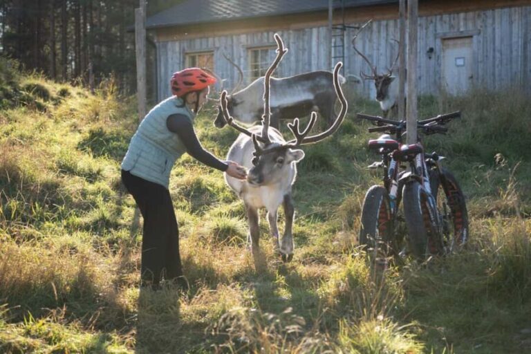 Rovaniemi: E-fatbike Trip to the Reindeer Farm - Authenticity and Guide Quality