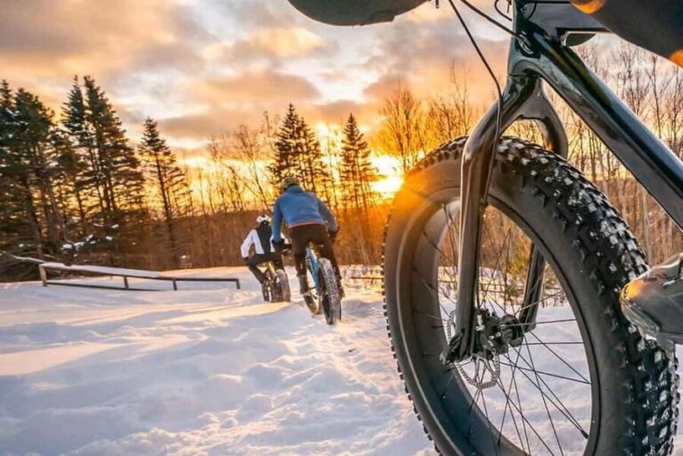 Rovaniemi: Electric Fatbike Rental with Helmet - Diving Into the Experience: A Closer Look at the Itinerary