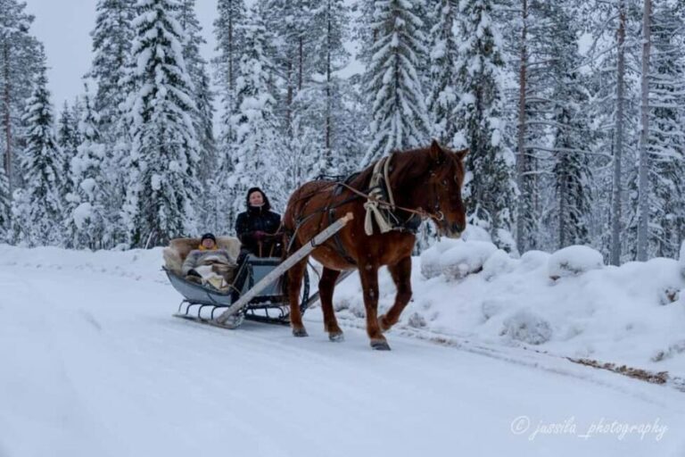 Rovaniemi: Horse-Drawn Sleigh Ride with Snacks and Transfer - The Experience’s Value in Context
