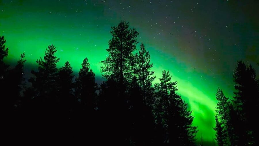 Rovaniemi: Night Tour in Search of the Aurora with BBQ