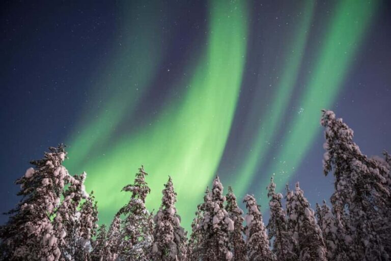 Rovaniemi: Northern Lights Hunt & Photography Experience - How the Tour Works: A Step-by-Step Breakdown