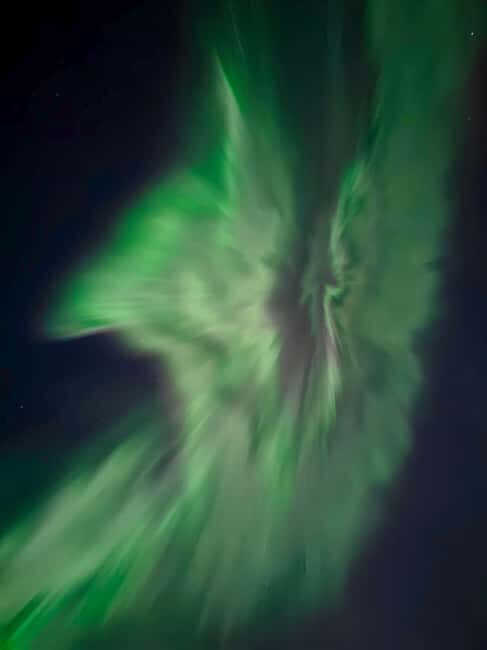 Rovaniemi: Northern Lights Hunt with Local Guides - The Value: Does It Justify the Price?