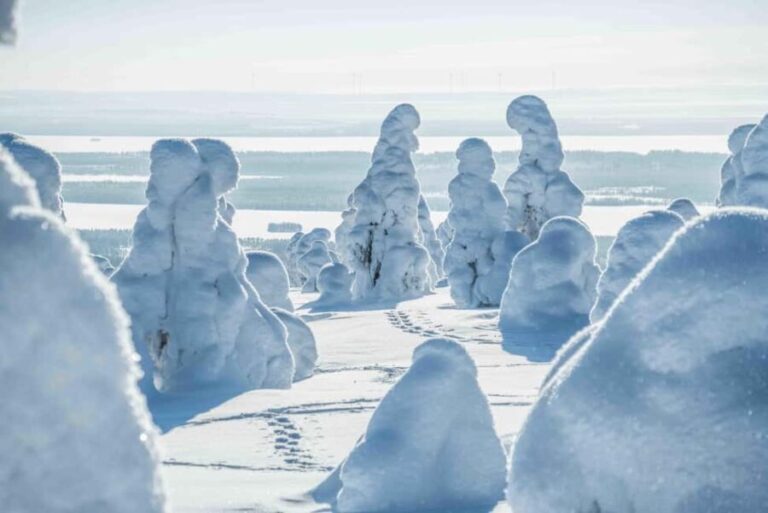 Rovaniemi: Riisitunturi and Korouoma Waterfalls Hiking Tour - Is This Tour Worth the Price?