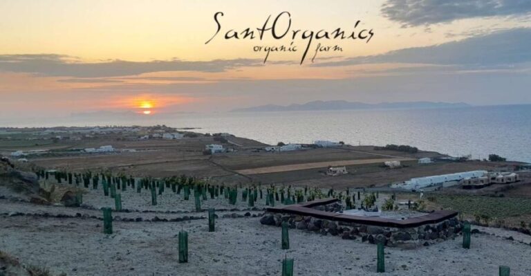 Santorini: Private Agri-Educational Visit to an Organic Farm - A Closer Look at the Tour Experience