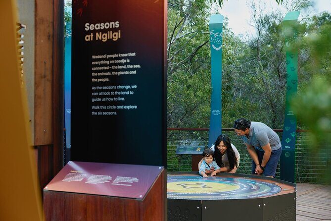Self-Guided Ngilgi Cave Ancient Lands Experience - Who Should Consider This Tour?