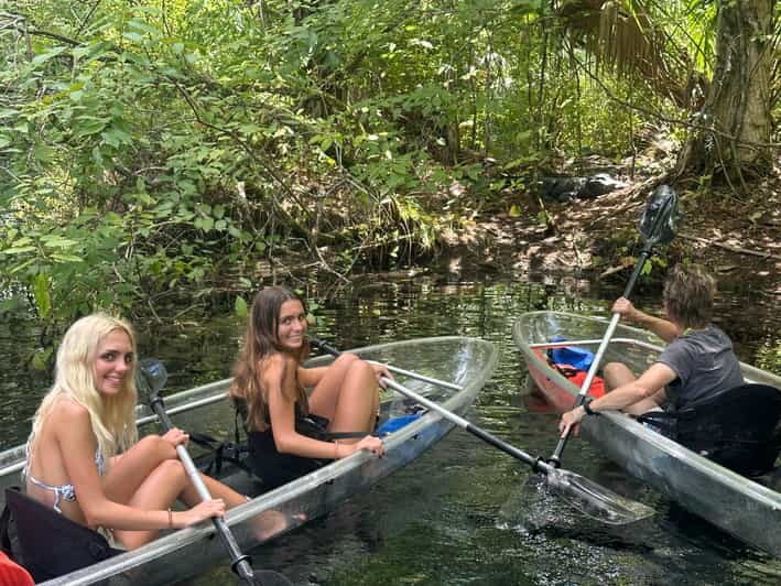 Silver Springs: Guided Clear Kayak or Paddleboard Gator Tour - The Real Value of the Experience
