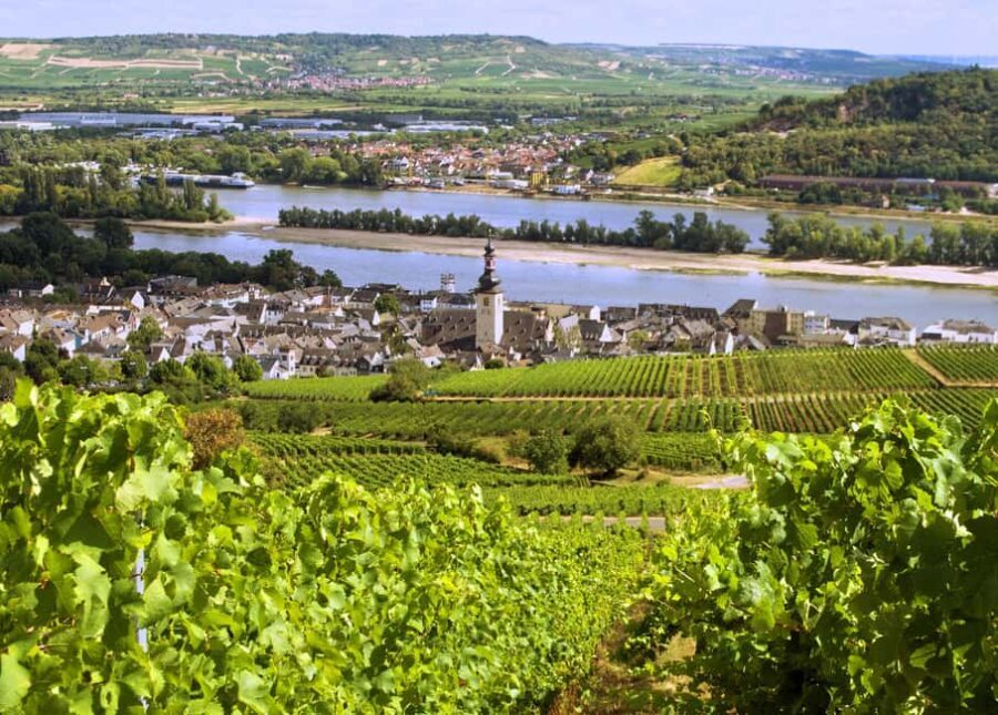 Sip Wine Along the Rhine - Grape Day out from Frankfurt