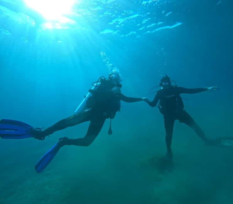 Sithonia: 1 Guided Shore Dive for Certified Divers - What Makes the Experience Stand Out?