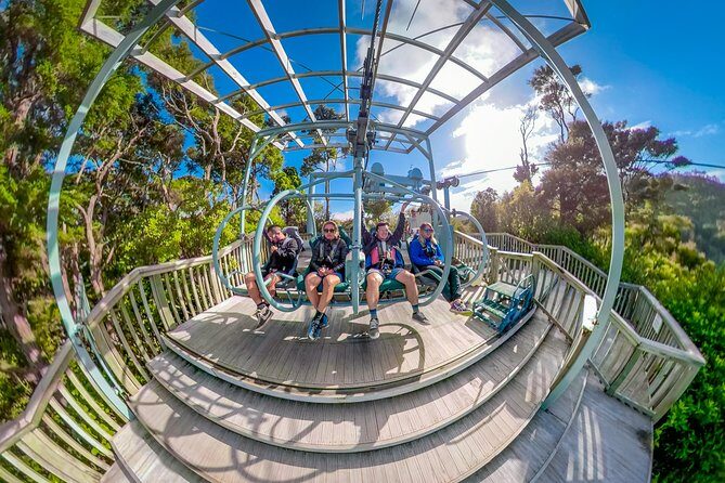 Skywire Adventure at Cable Bay, Nelson - The Itinerary: What to Expect from Start to Finish