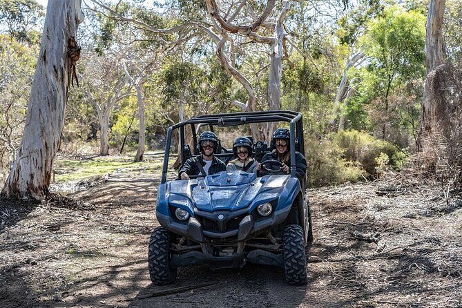 Small-Group Buggy Tour at Little Sahara with Guide - Pricing and Value