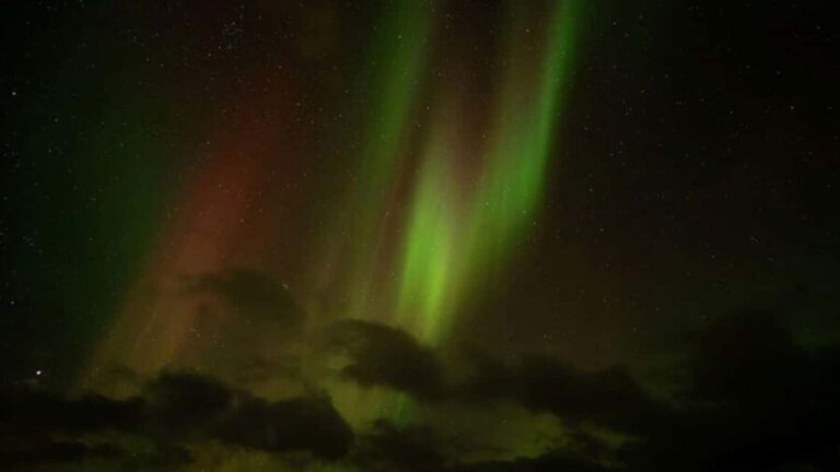 Svolvær: Northern Lights Tour with Hot Drinks & Photos - A Deep Dive into the Experience