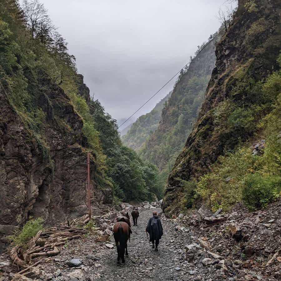 Tbilisi: Pankisi Gorge Horse Riding Tour with Dinner