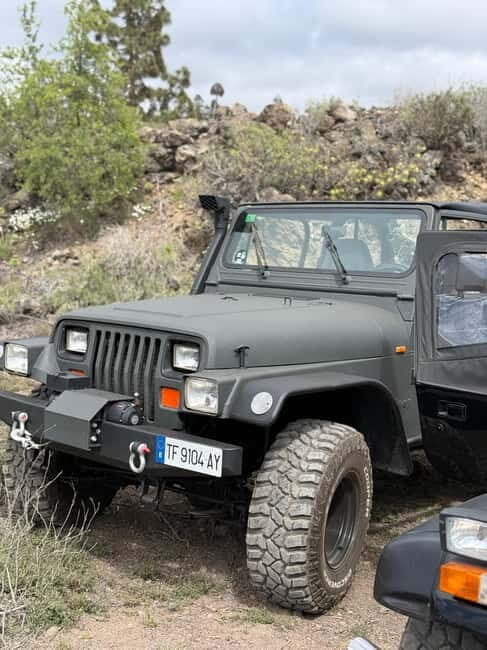 Tenerife: Coastal tour in a Jeep Wrangler to Los Gigantes and the South Coast - What to Expect During Your Day