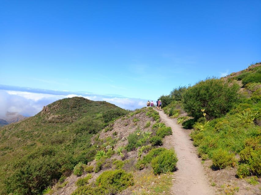 Tenerife: Hiking Above the Village of Masca - Authentic Experiences and Real Traveler Feedback