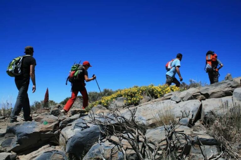 Tenerife: Teide National Park Guided Tour - Exploring Teide National Park: What You Can Expect