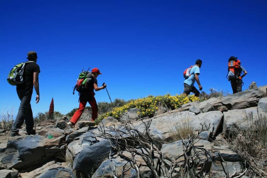 Tenerife: Teide National Park Guided Tour - Exploring Teide National Park: What You Can Expect