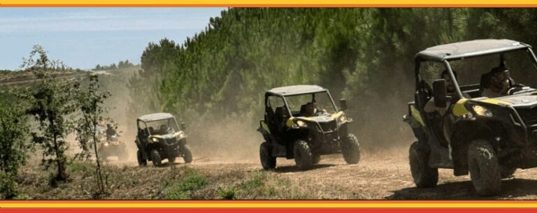 TOUR BUGGY IN BOTICAS AND CHAVES - Why You Should Consider This Tour