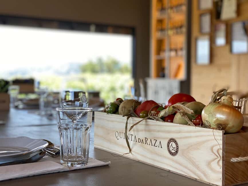 Tour of the vineyards, organic vegetable garden and animal farm.
