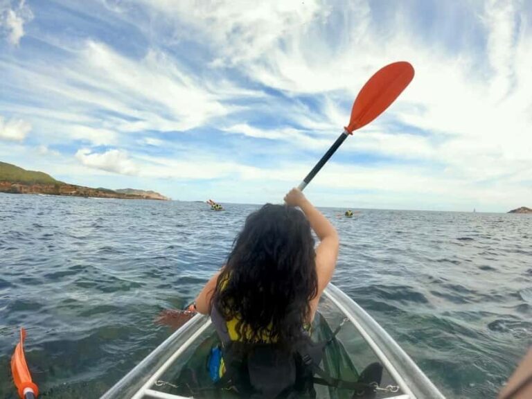 Transparent Kayak or SUP Guided Tour in Pou des LLeo - The Practicalities: What’s Included and What You Should Bring