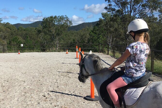 Trevena Glen 1hr Animal Tour - What Makes the Trevena Glen Animal Tour Stand Out?