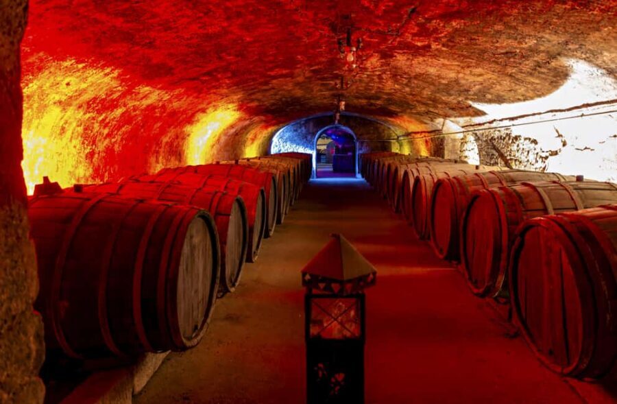 Trier: Mosel wine meets history  wine tour with cellar visit