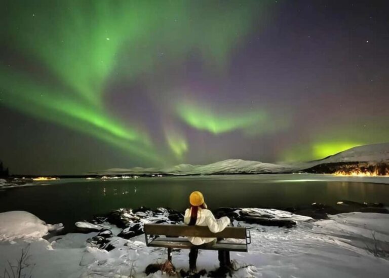Tromsø: Arctic Experience 4-in-1 Package - The Value of the Tour