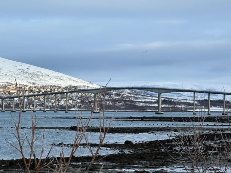 Tromsø: Aurora Tour with Guide and Photos - Max. 15 ppl - Assessing the Price and Overall Value