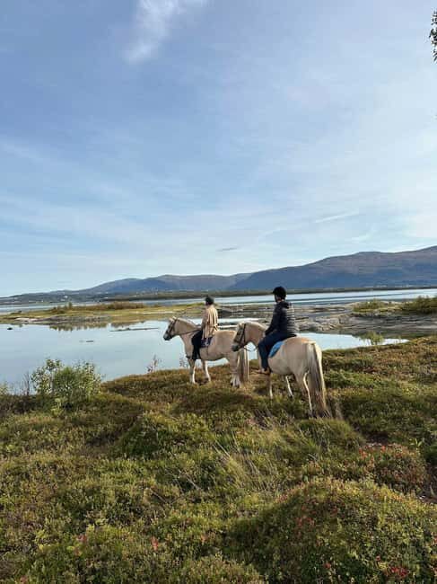 Tromsø: Horseback Riding Tour vinter/summer - The Value & Overall Impression