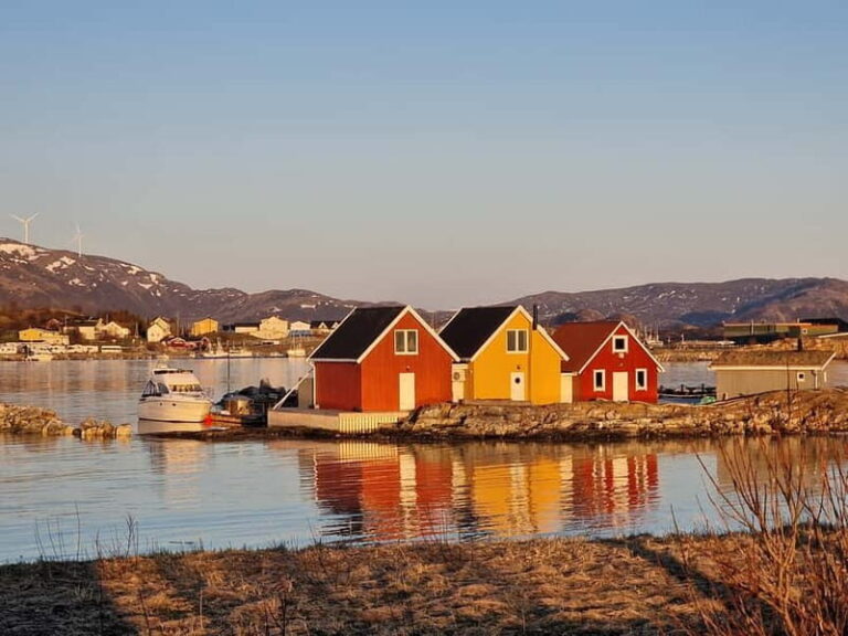 Tromsø: Northern Lights Adventure in Tromsø with Free Photos - An In-Depth Look at the Tromsø Northern Lights Tour
