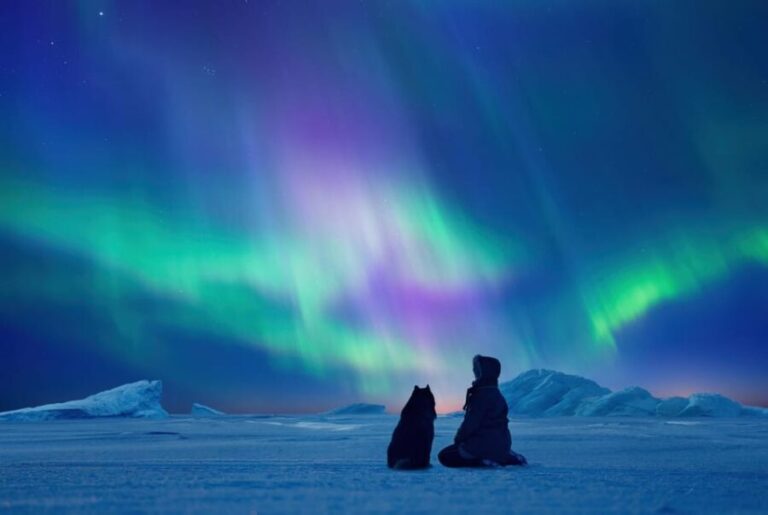 Tromsø: Northern Lights by Bus with Professional Photography - Itinerary Breakdown: What to Expect from Each Stop