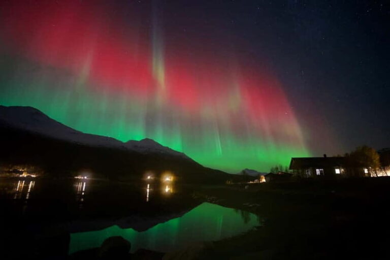 Tromsø: Small-Group Northern Lights Tour by Minibus - Authentic Experiences and What Travelers Say